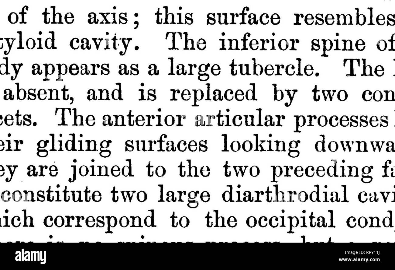 . The comparative anatomy of the domesticated animals. Veterinary ...