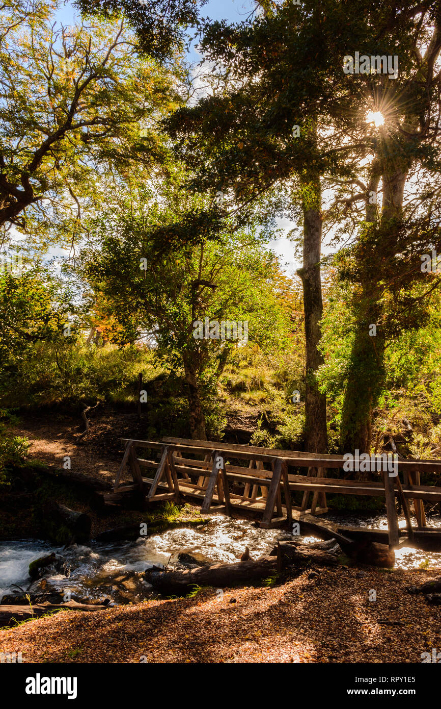 wooden bridge over river Stock Photo - Alamy