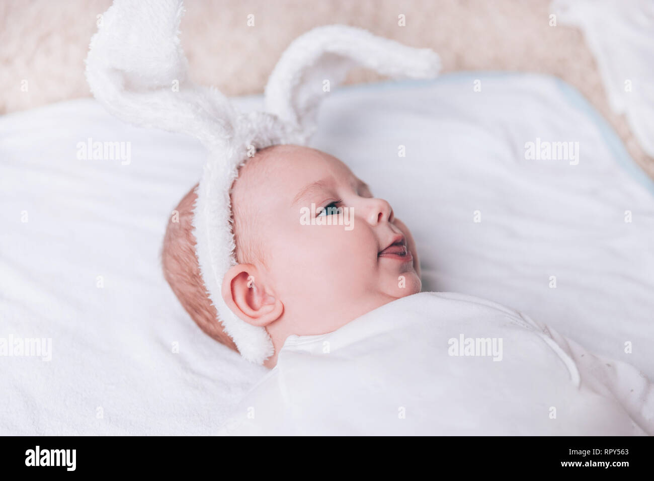 Boy dressed in rabbit costume hi-res stock photography and images - Alamy