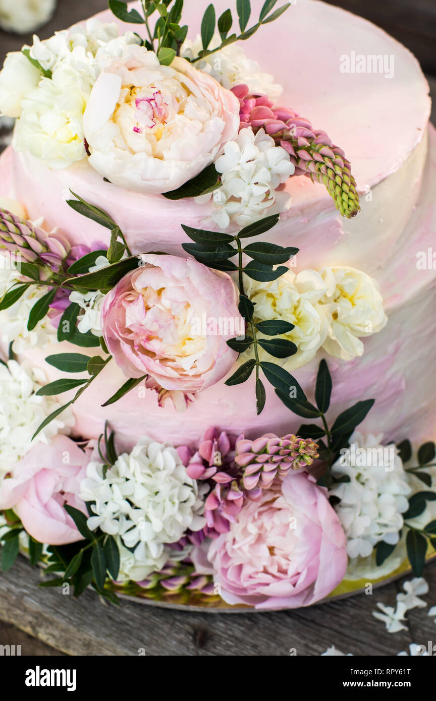 Big pink wedding cake decorated by natural flowers Stock Photo - Alamy