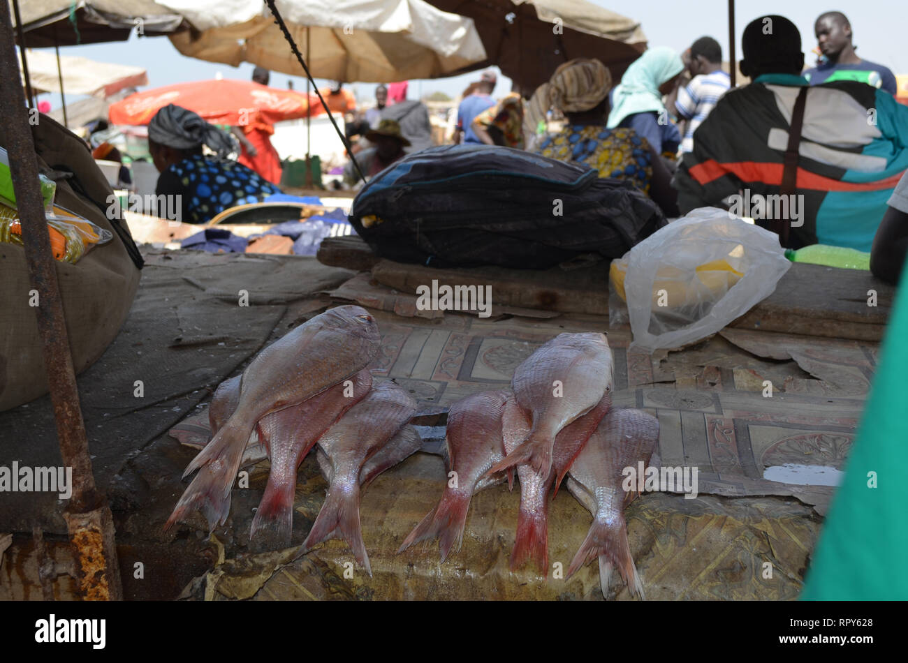 Busy fish market in Mbour, Senegal, a regional trade hub Stock Photo ...