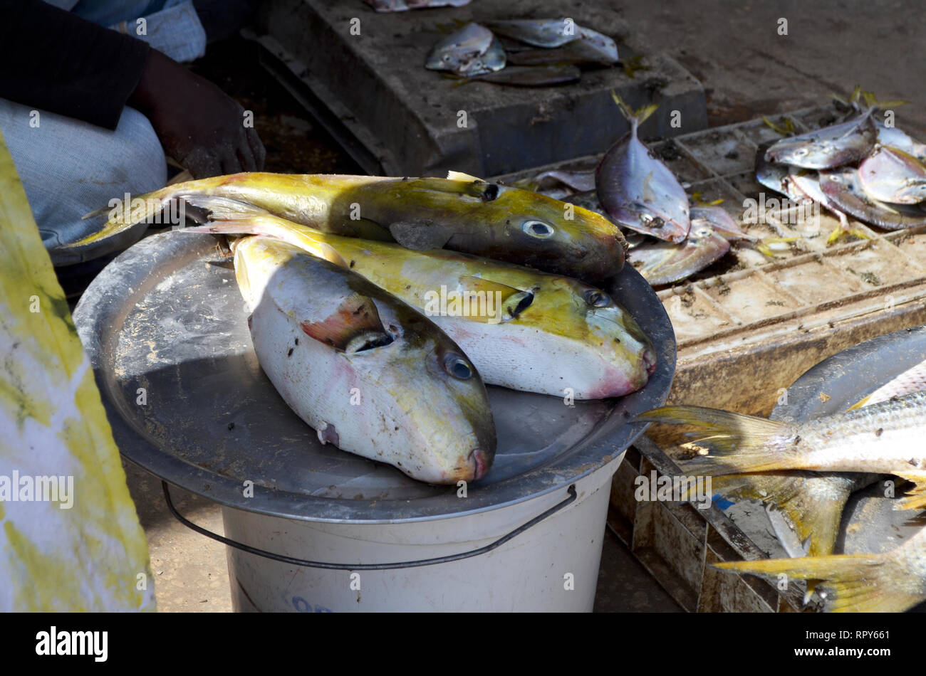 Busy fish market in Mbour, Senegal, a regional trade hub Stock Photo ...
