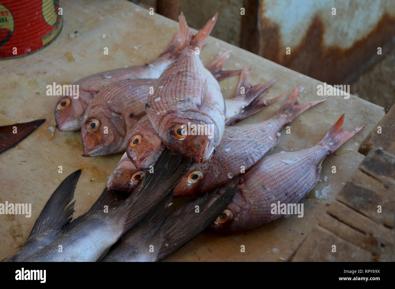 Busy fish market in Mbour, Senegal, a regional trade hub Stock Photo ...