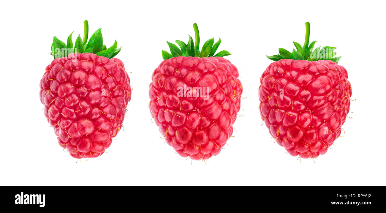 One raspberry isolated on white background, collection Stock Photo - Alamy