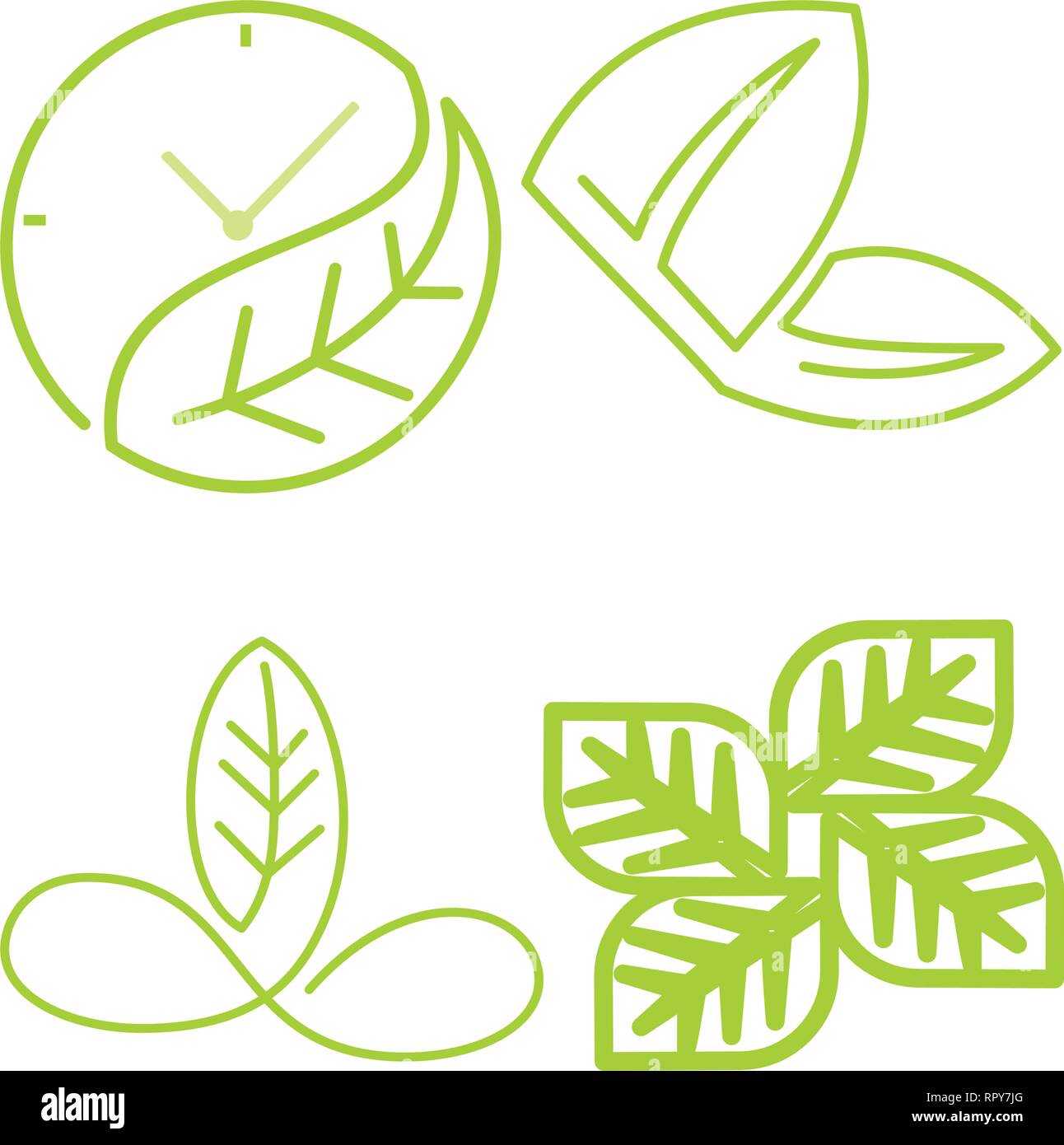 Leaf Logo Design Vector Template Set Stock Vector Image & Art - Alamy