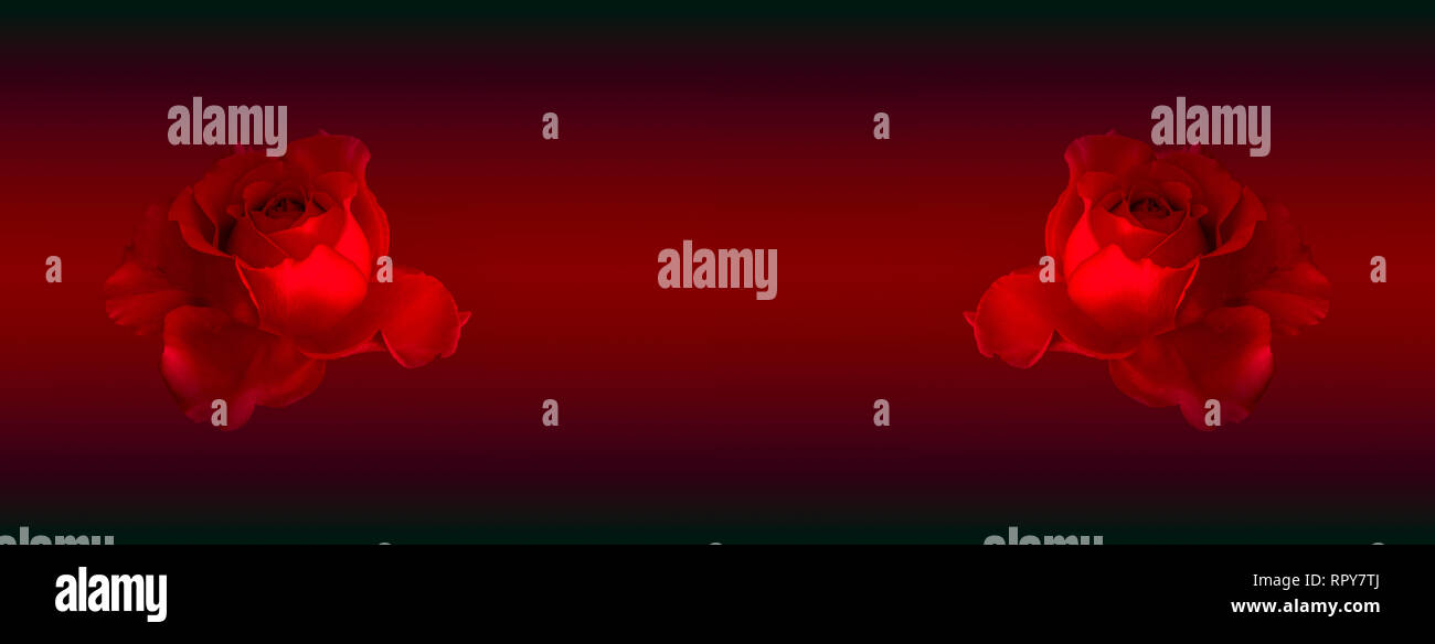 Surrealistic fine art still life low key red toned macro of a pair of ...