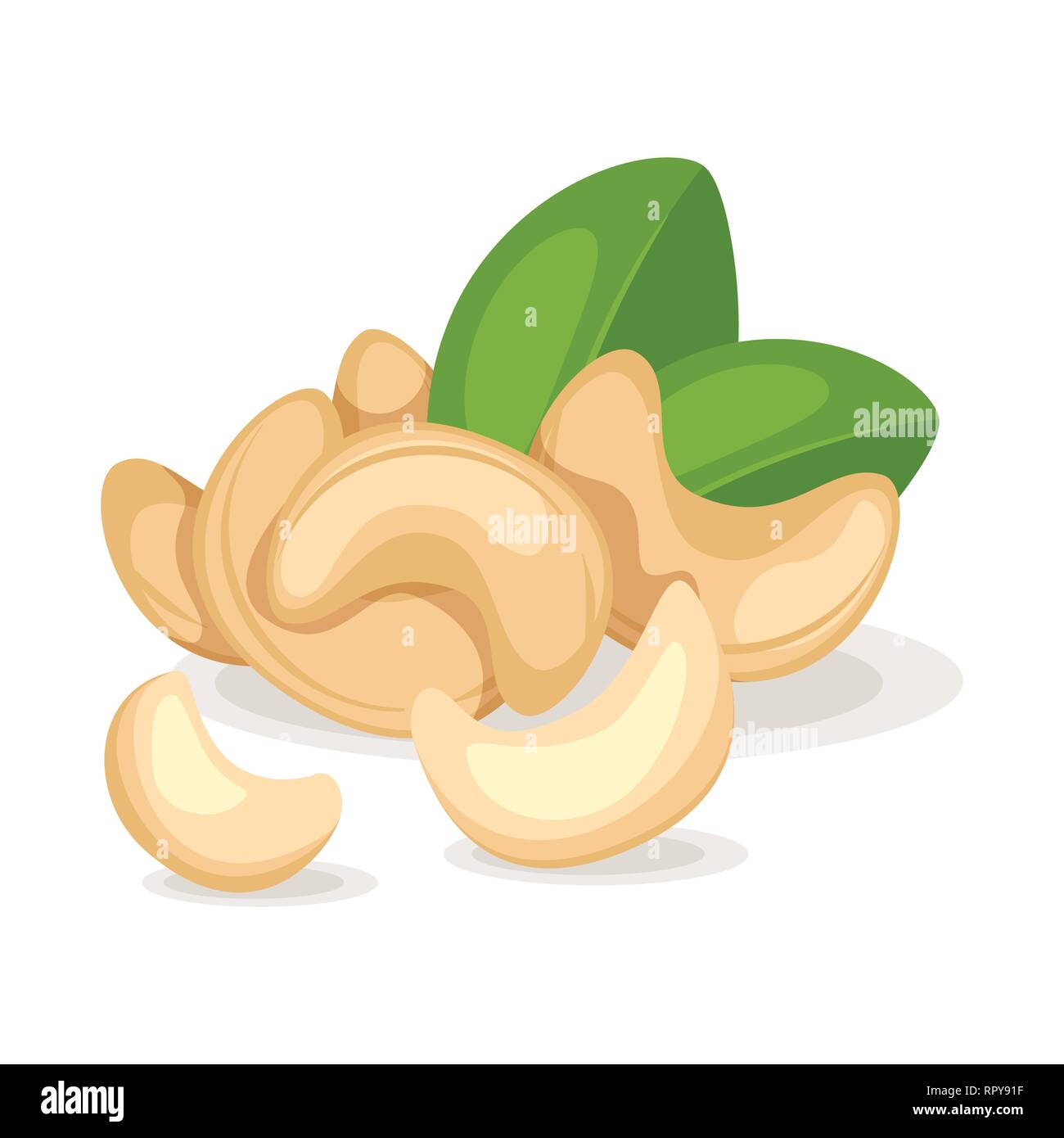 Cashew nut kernels with green leaves. Vector illustration isolated on ...