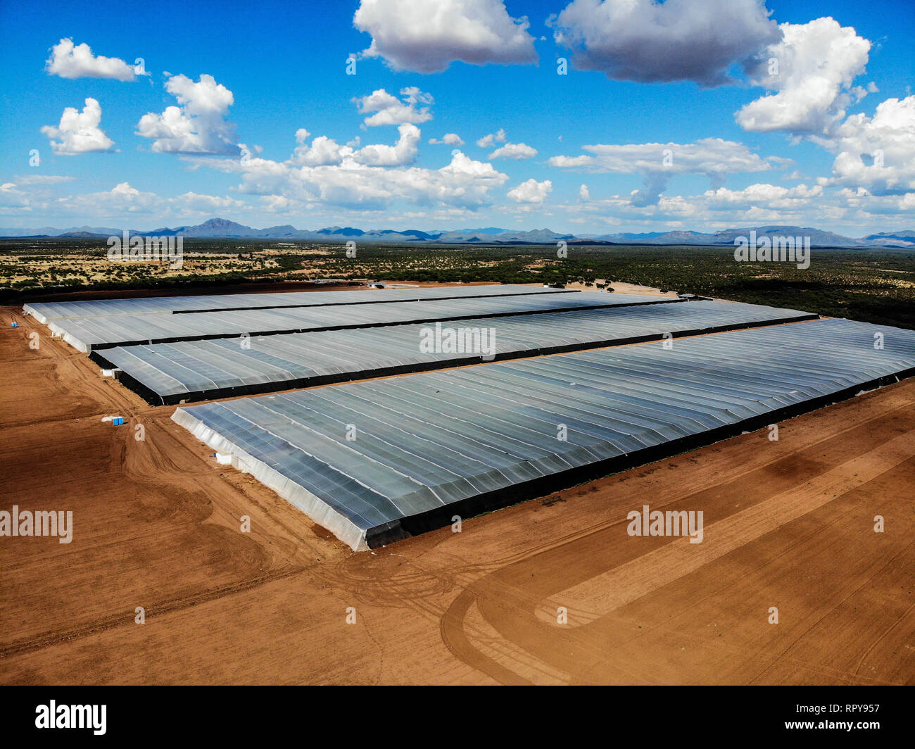 Aerial view of nursery, field of cultivation, field of land in the ...