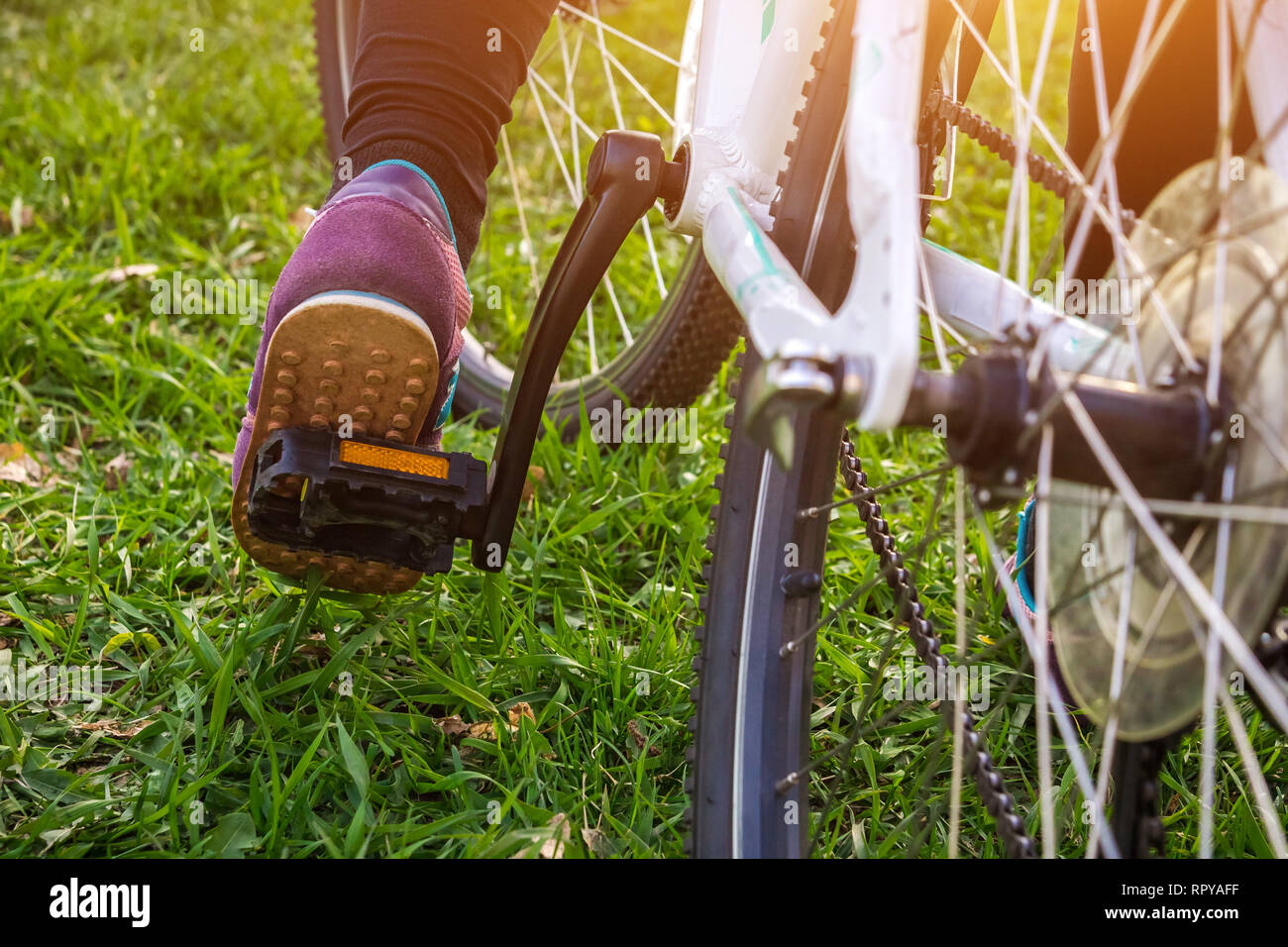 Female leg on the pedal of the bicycle in the forest Stock Photo - Alamy