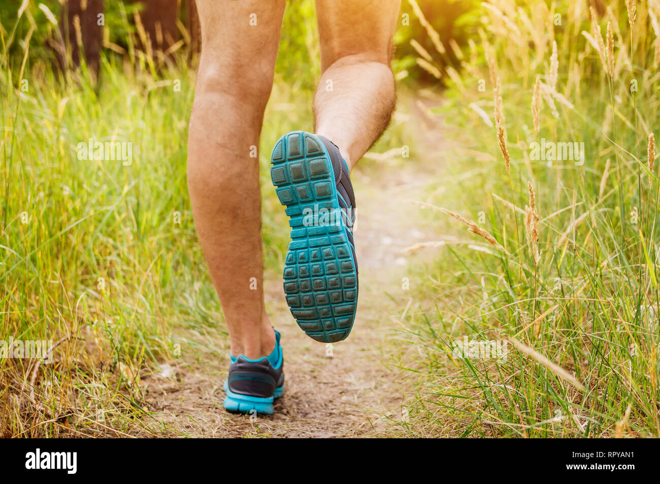 Forest running shoes legs hi-res stock photography and images - Alamy