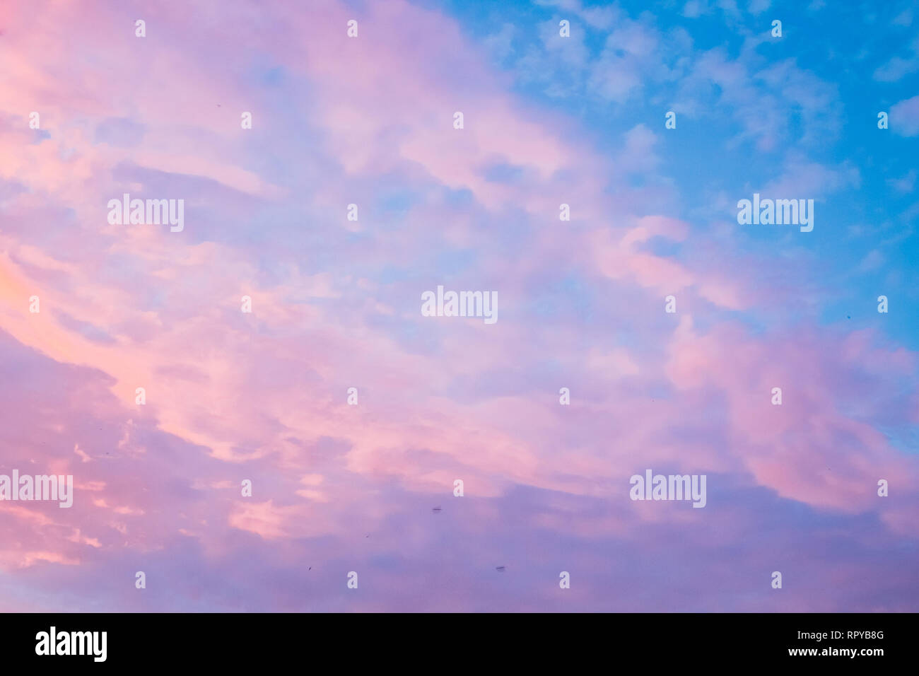Pink cloudy sky background at sunset. Natural texture Stock Photo - Alamy