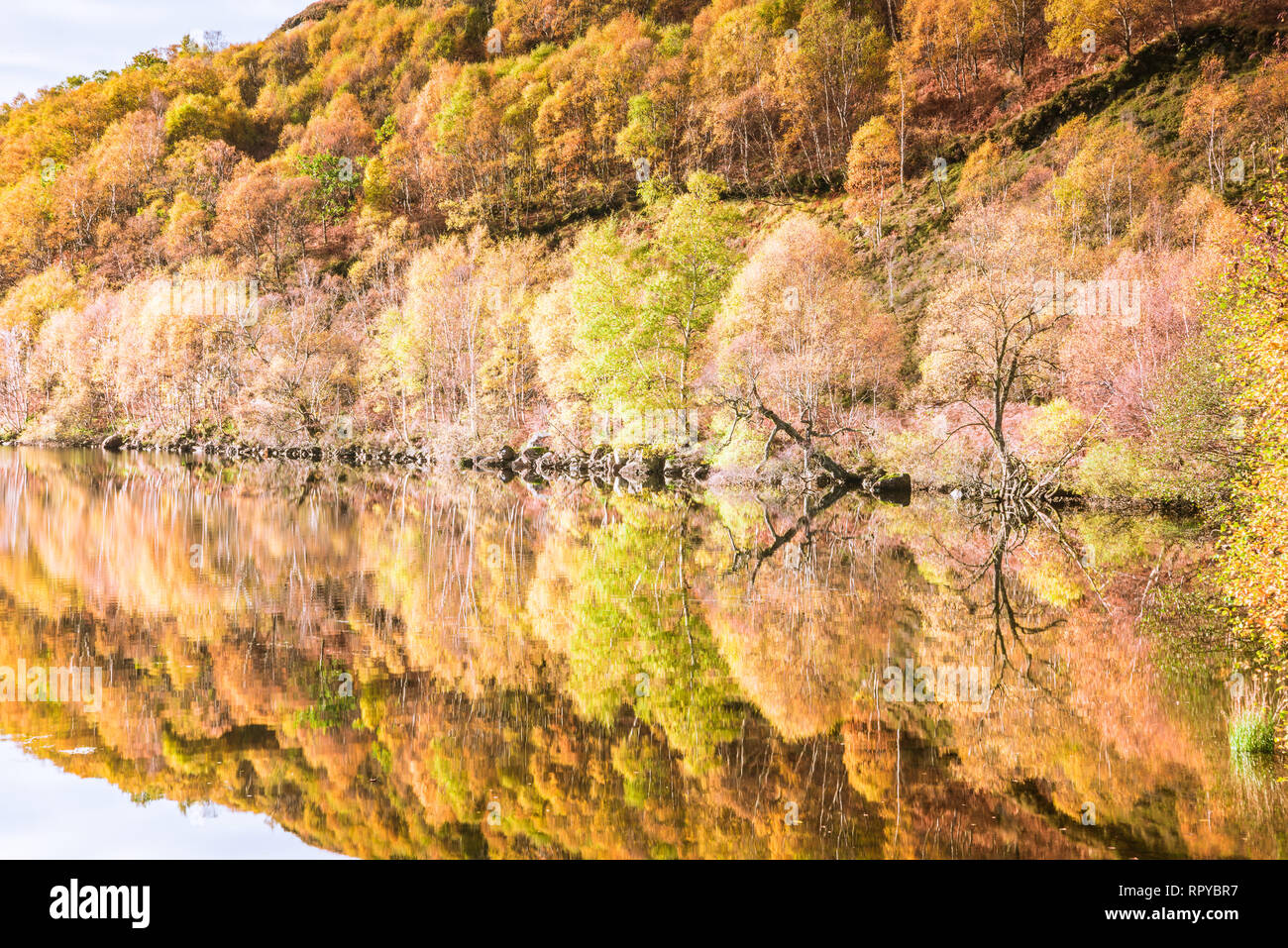 Autumn colours in Highlands of Scotland - trees, mountains, sky, hills ...
