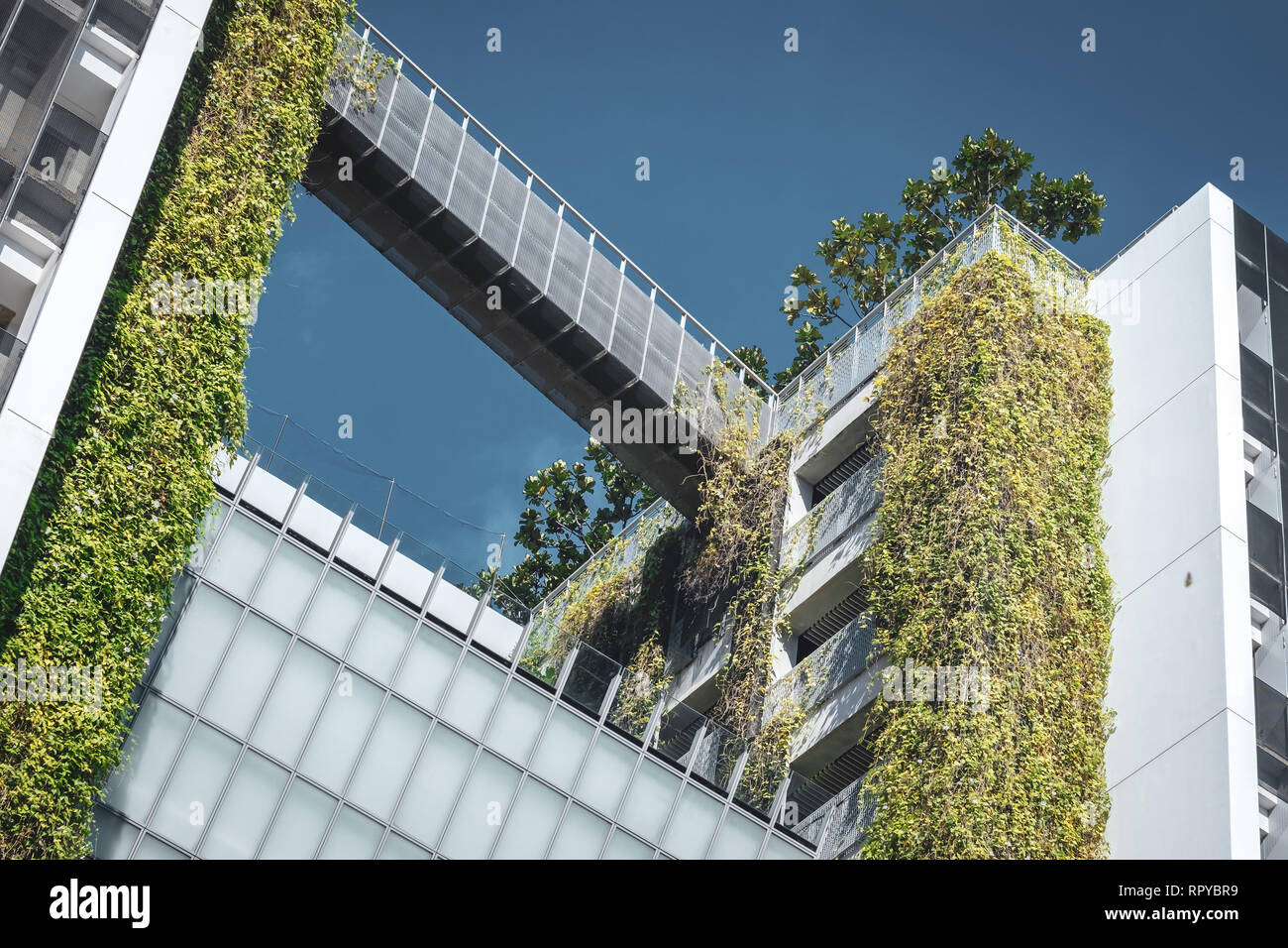 Modern architecture in the city of Singapore Stock Photo - Alamy