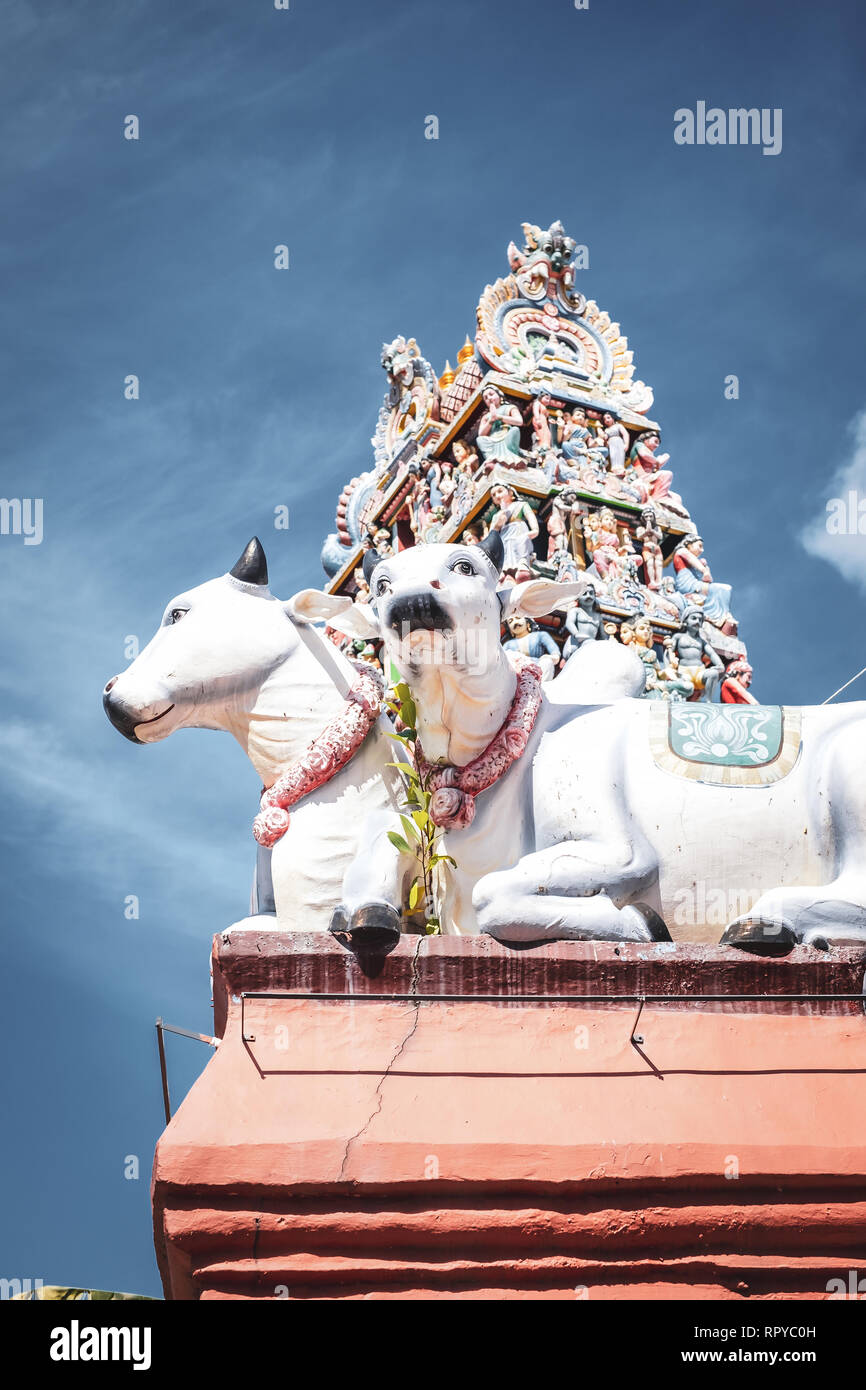 Typical holy cow statues by an Hindu temple in Singapore Stock Photo ...