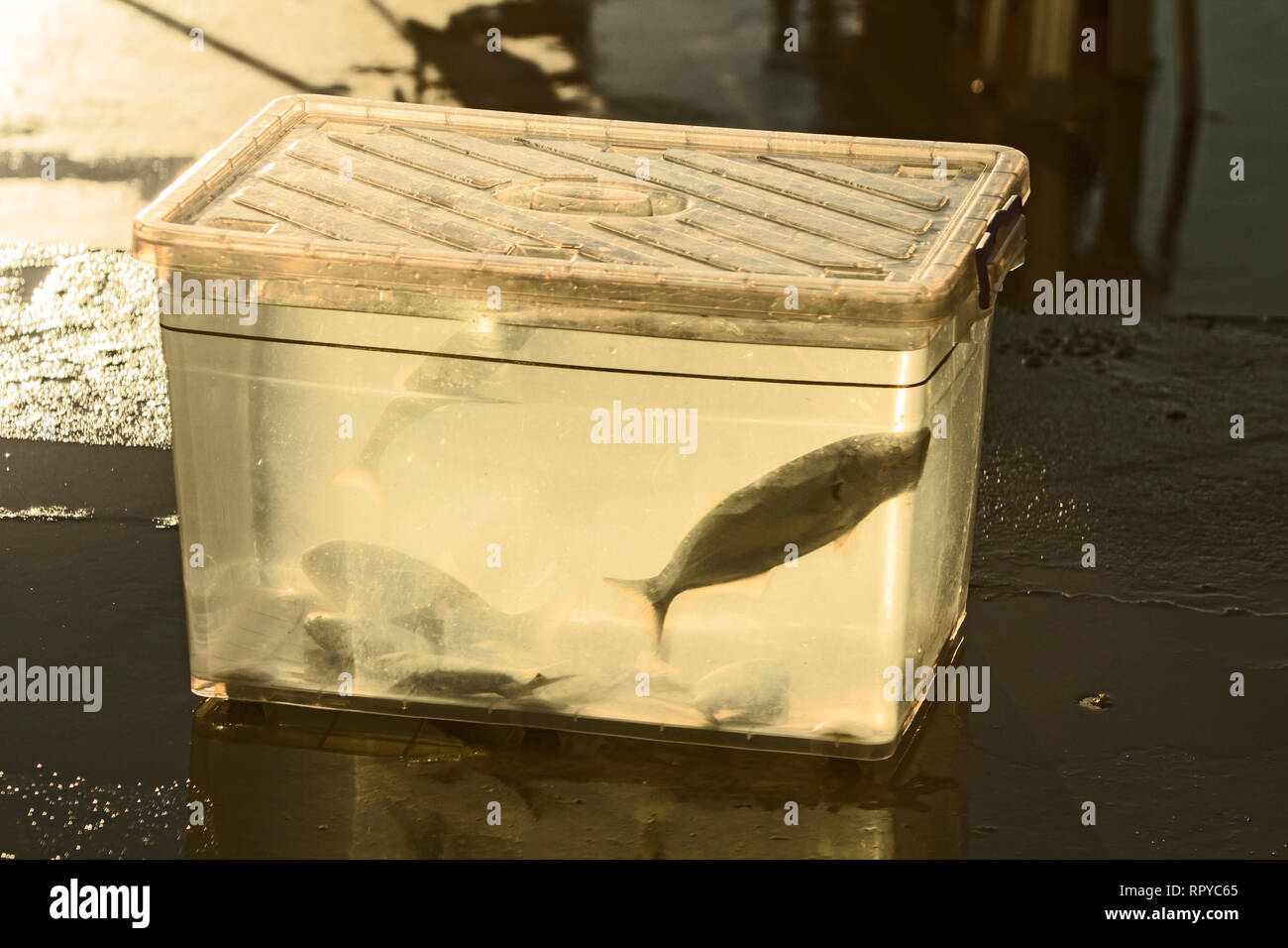 Bebek istanbul hi-res stock photography and images - Alamy