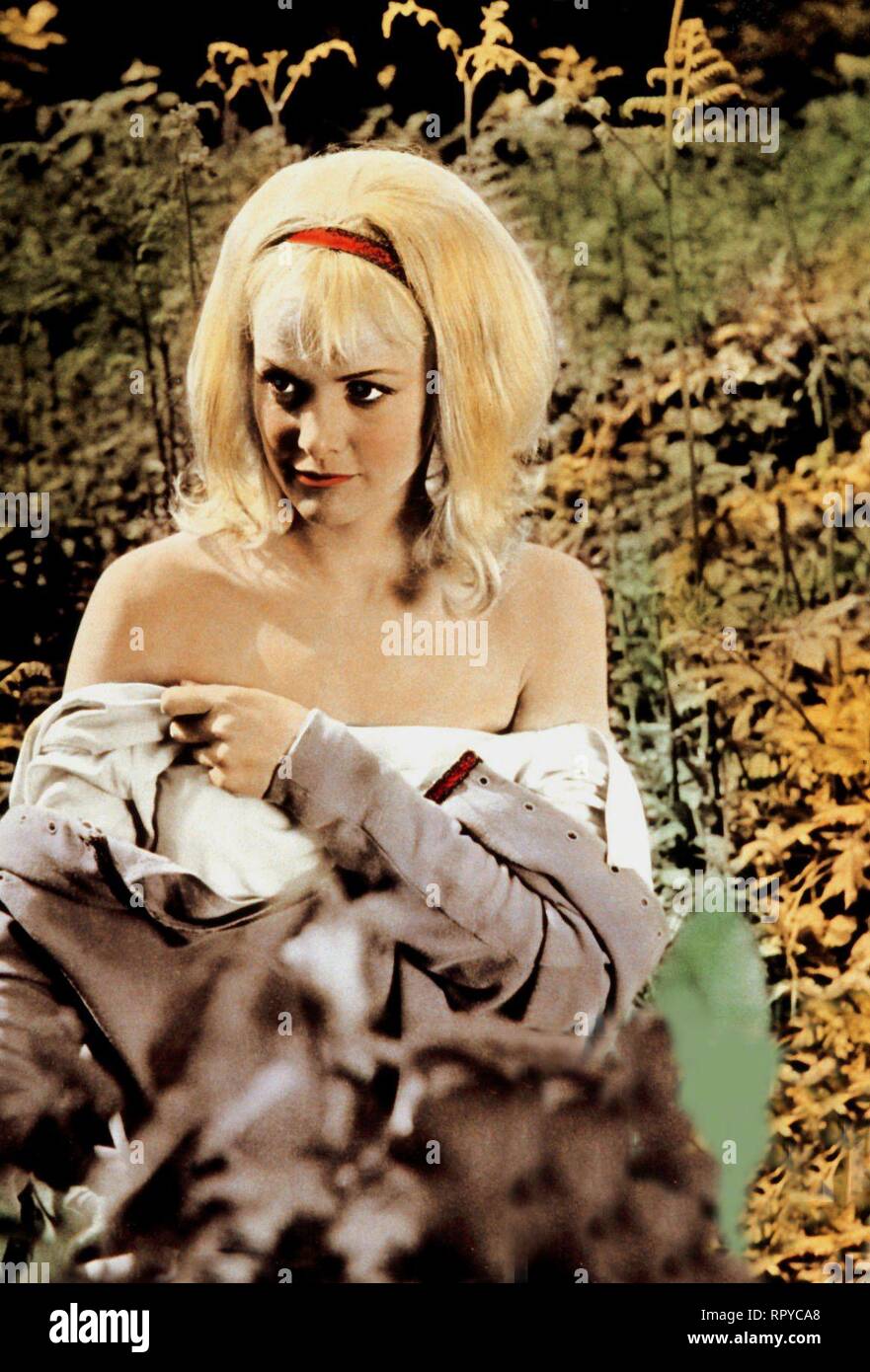 Sarah branch hi-res stock photography and images - Alamy