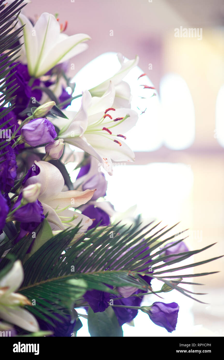 Red eustoma hi-res stock photography and images - Alamy