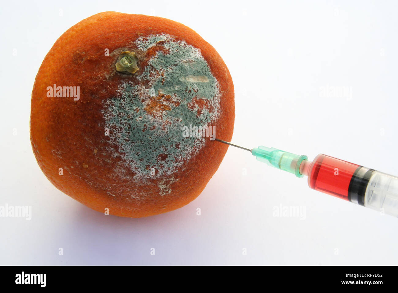 Orange with mold hi-res stock photography and images - Alamy