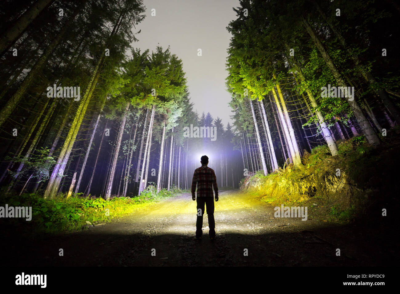 Back view of man with head flashlight standing on forest ground road ...