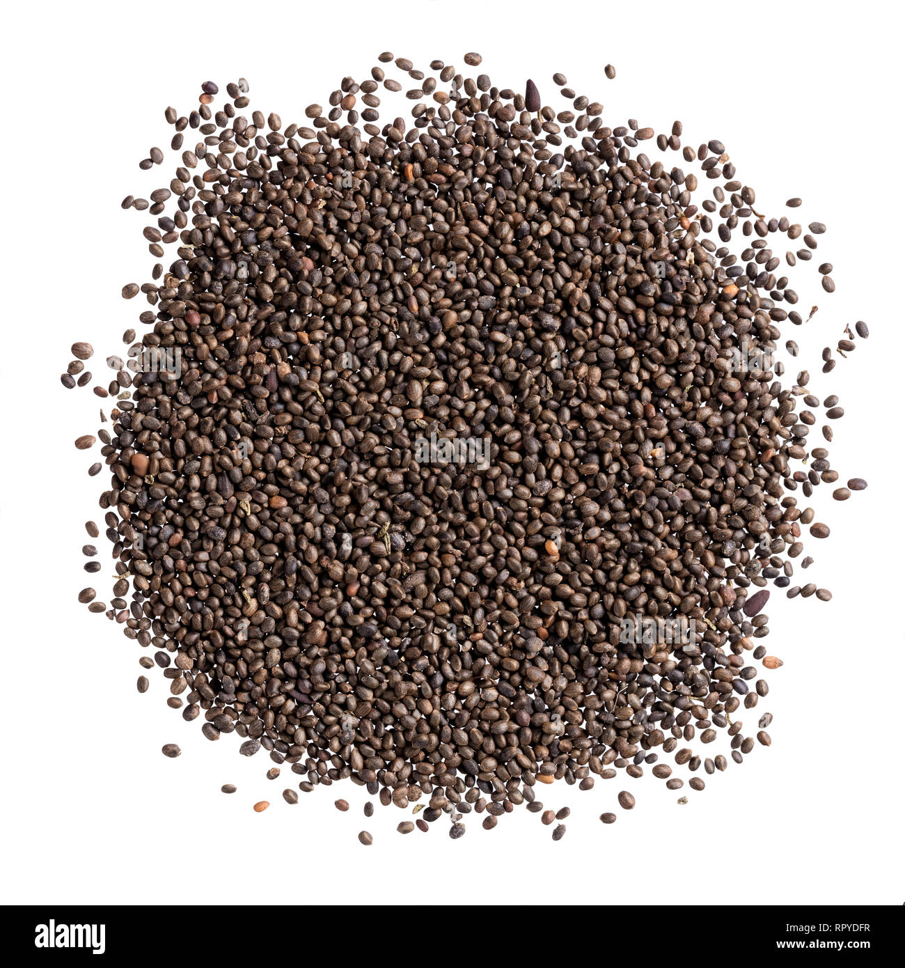 A heap of quality seeds of savory, spice for your beautiful garden ...