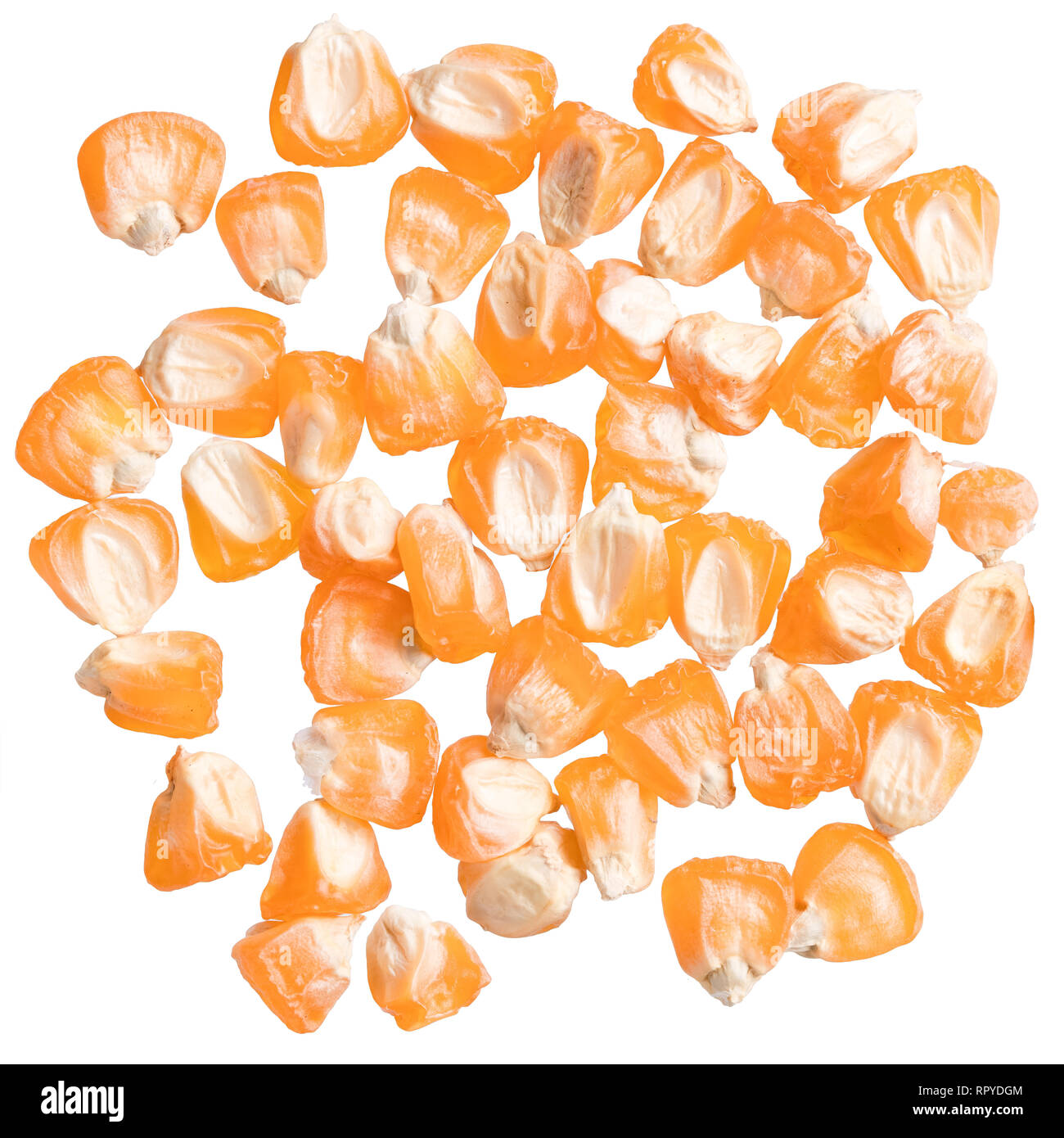 Up close and personal hi-res stock photography and images - Alamy