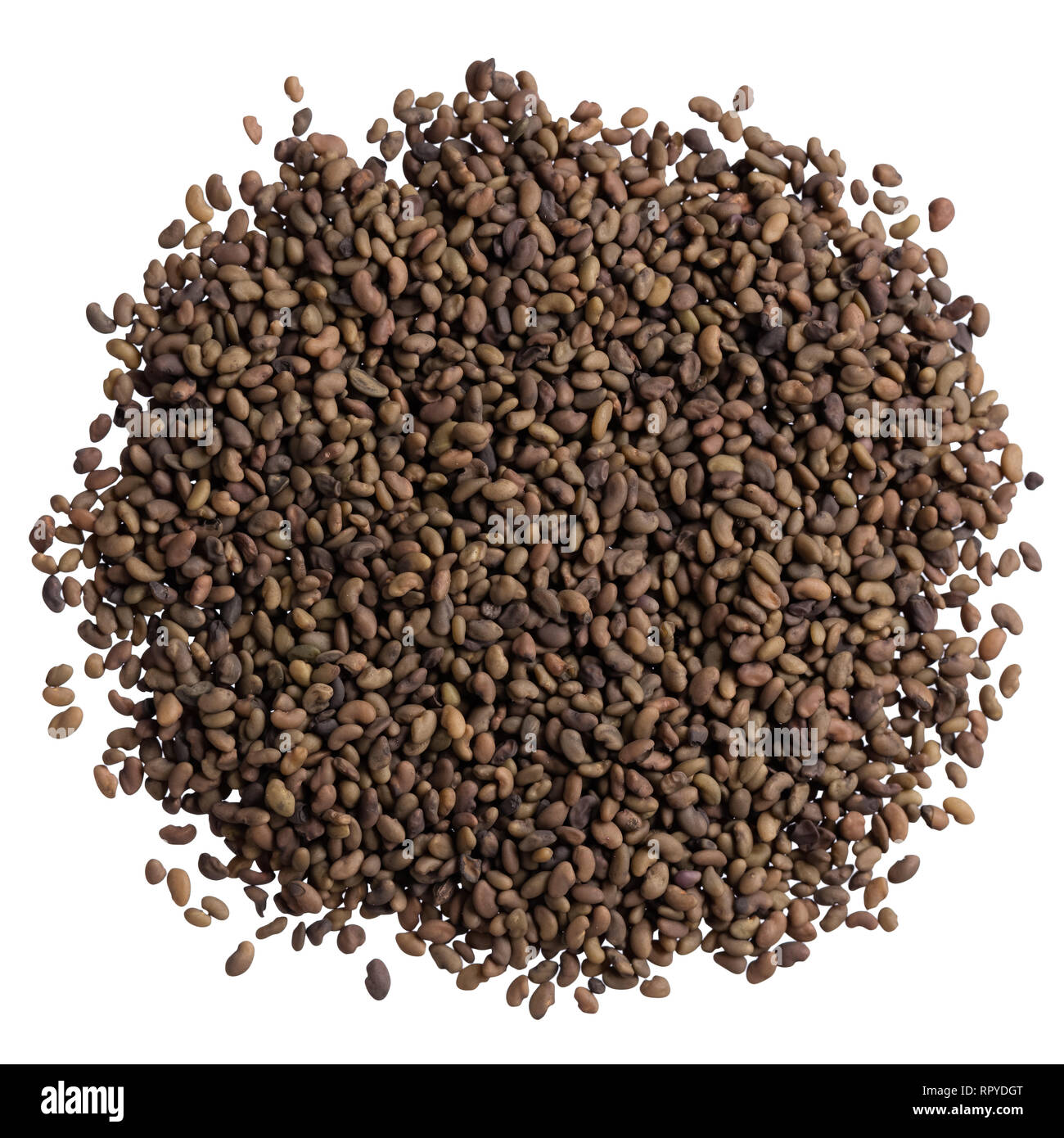 A heap of quality seeds of alfalfa, legumes for your unique garden ...