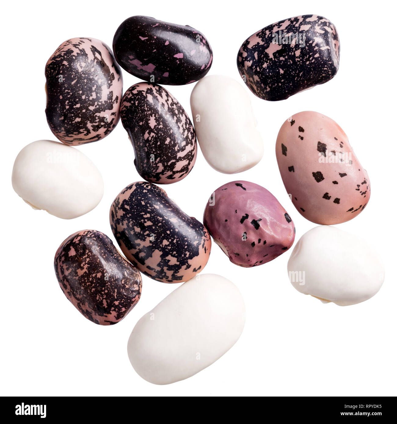 Natural garden look Cut Out Stock Images & Pictures - Alamy