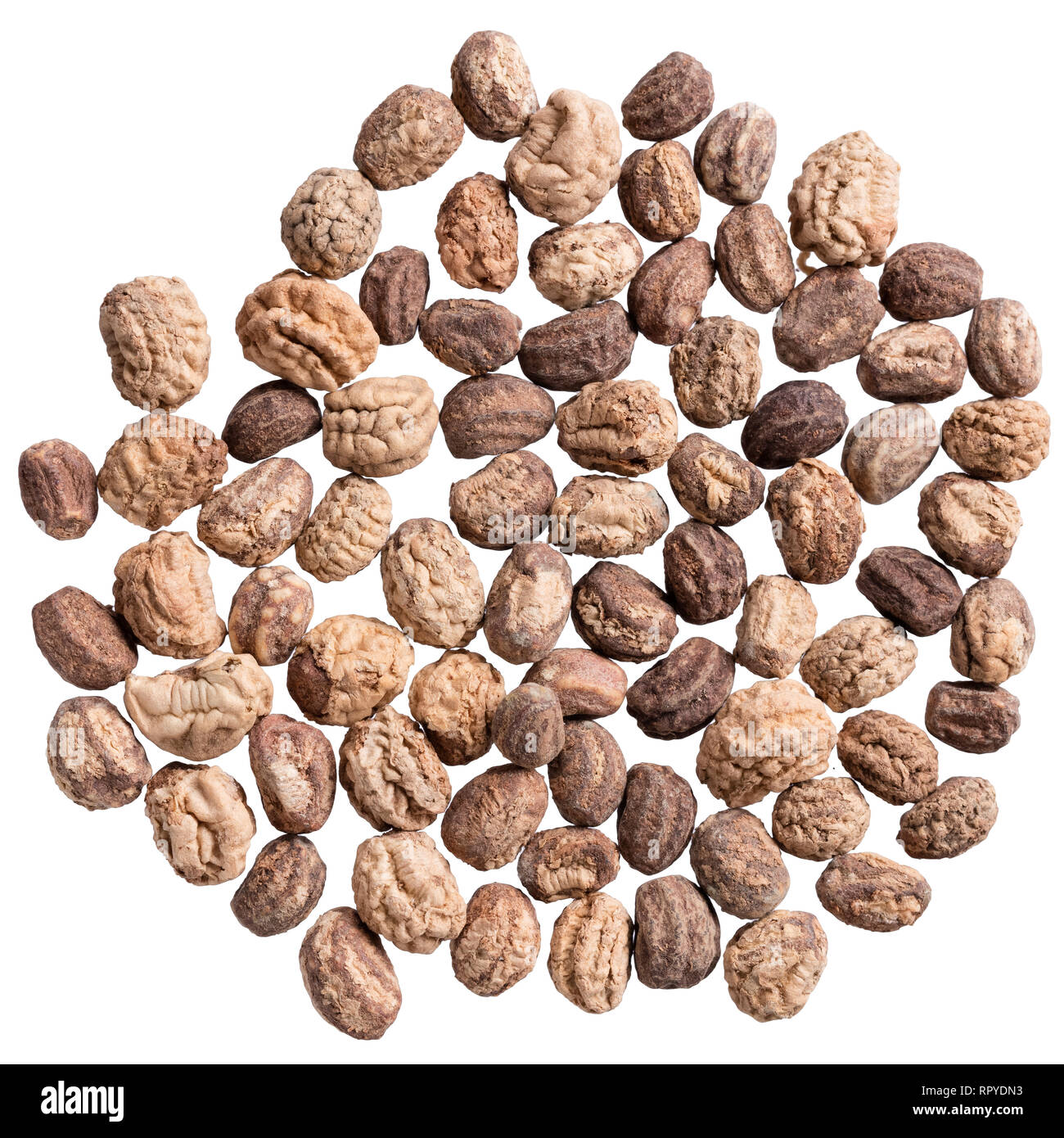 Tropaeolum Majus Seeds