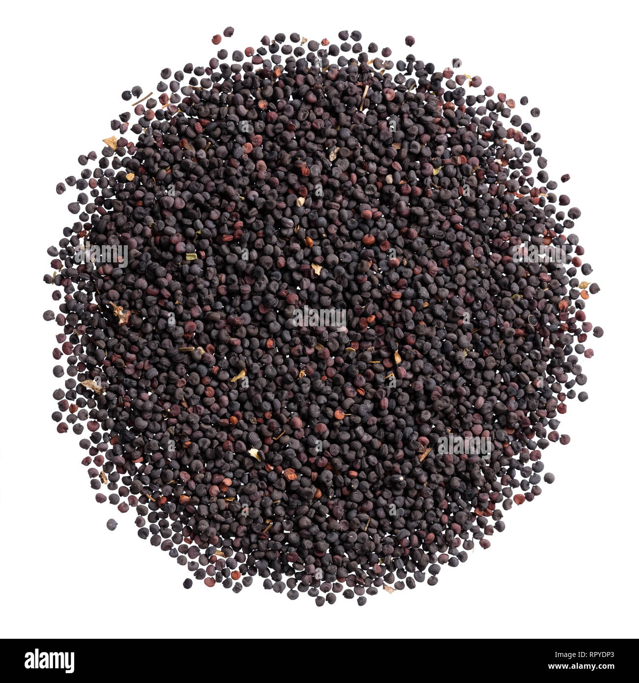 A heap of quality seeds of gypsophila, flower for your adorable garden ...