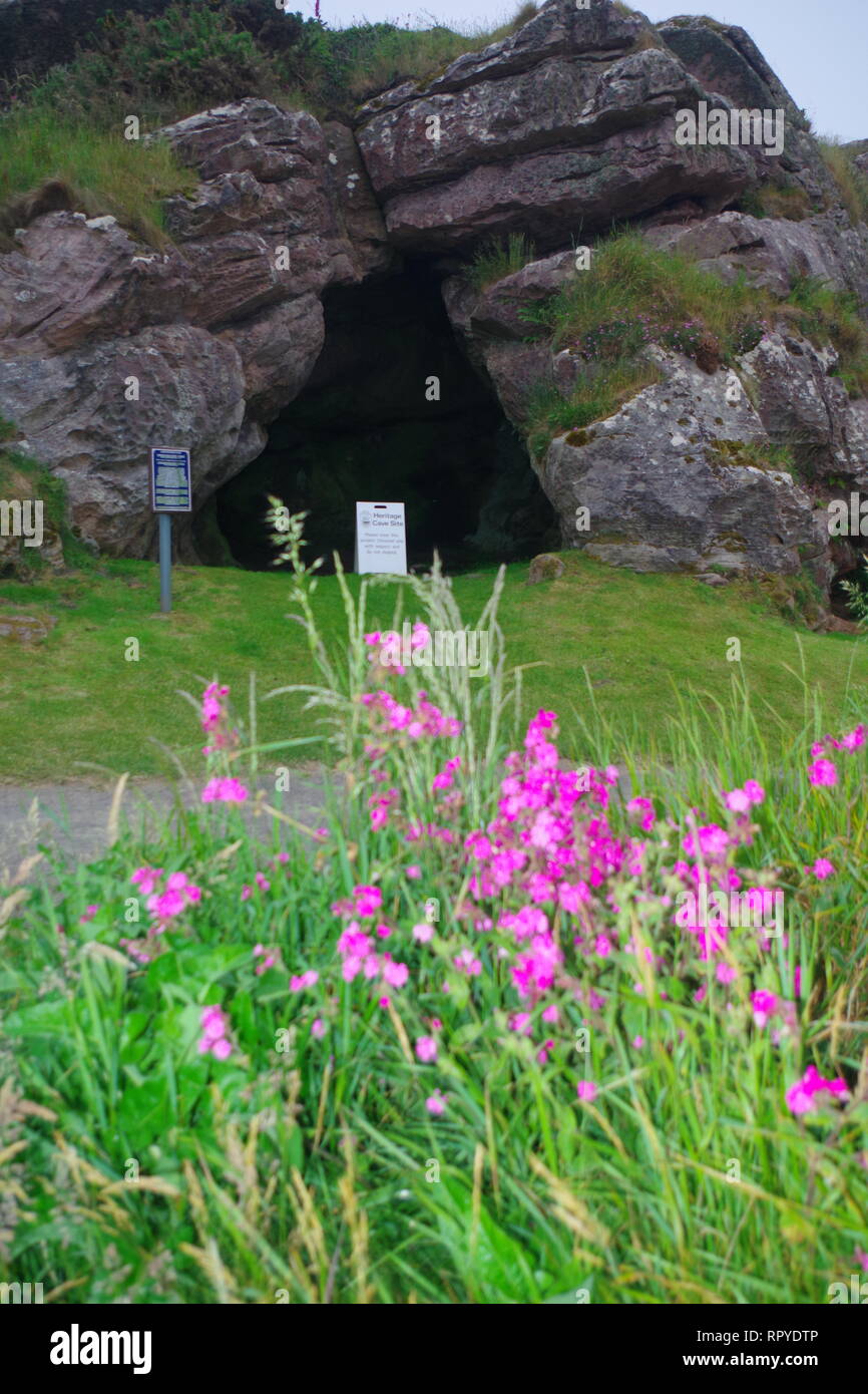 Balcomie sands hi-res stock photography and images - Alamy