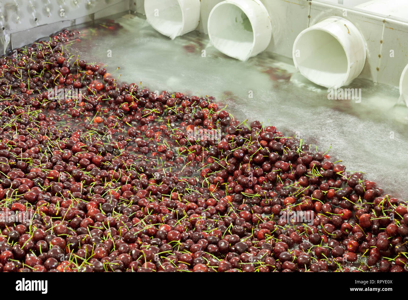 Process of washing fruit hi-res stock photography and images - Alamy