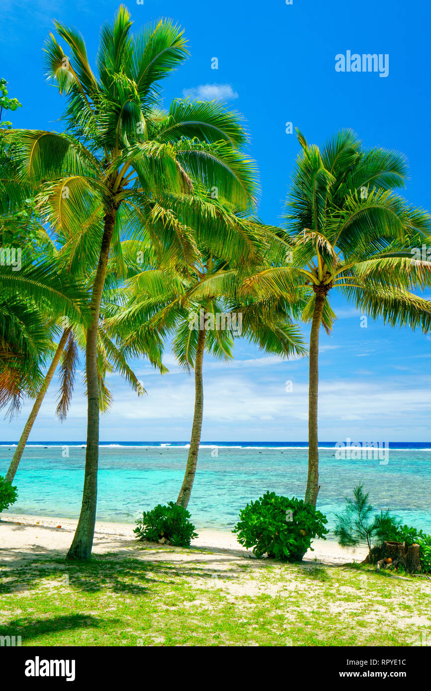 Cook islands hi-res stock photography and images - Alamy
