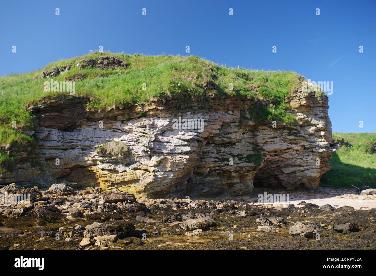 Exposed Carboniferous Sandstone Geology along the Fife Coast. Scotland ...