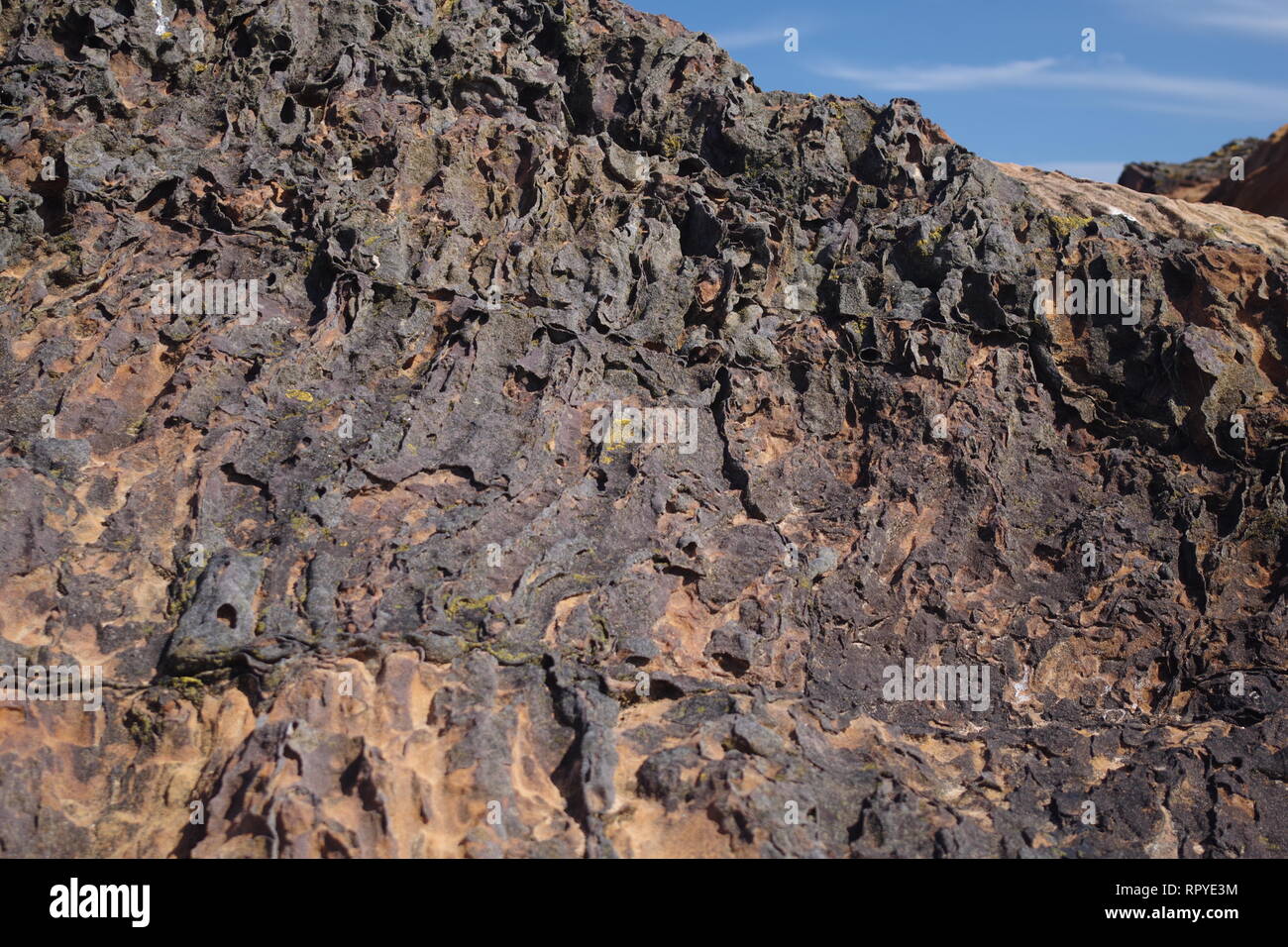 Exposed Carboniferous Sandstone Geology along the Fife Coast. Scotland ...