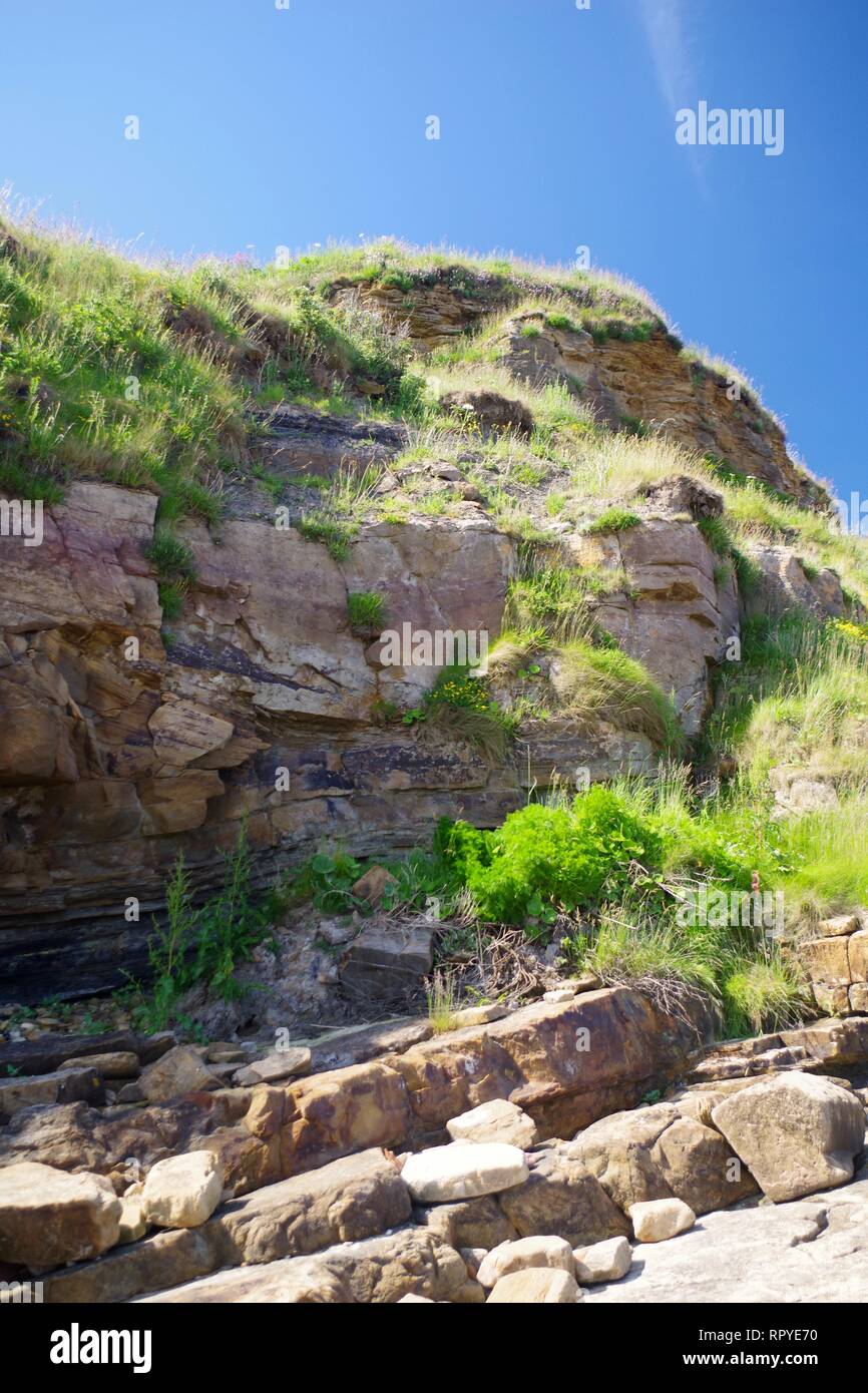 Exposed Carboniferous Sandstone Geology along the Fife Coast. Scotland ...