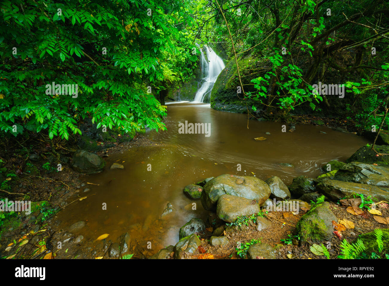 Wigmore's waterfall also known as Papau waterfall on Rarotonga in the ...