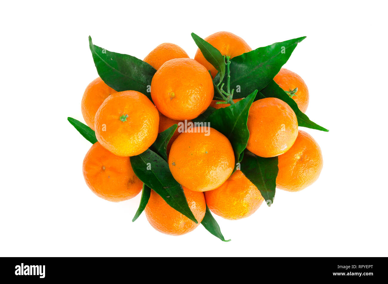 Bunch of fresh tangerines with leaves isolated on white background ...
