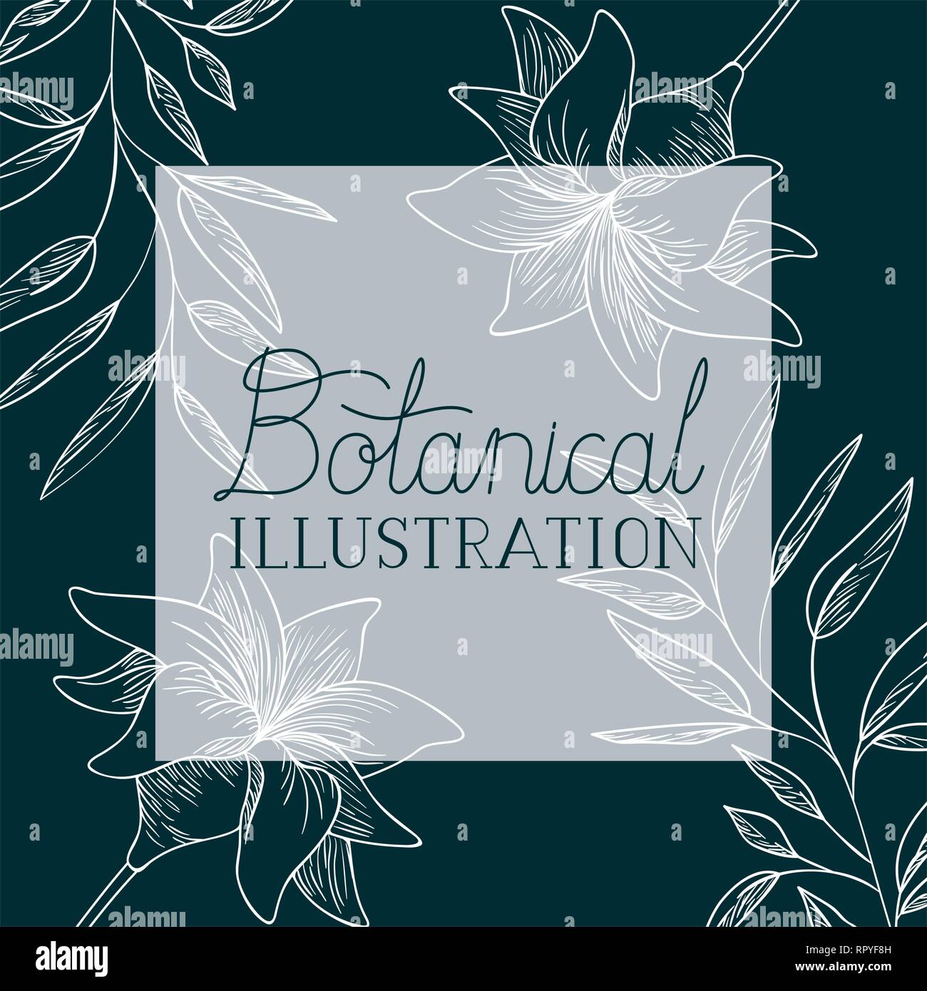 botanical illustration label with plants Stock Vector Image & Art - Alamy