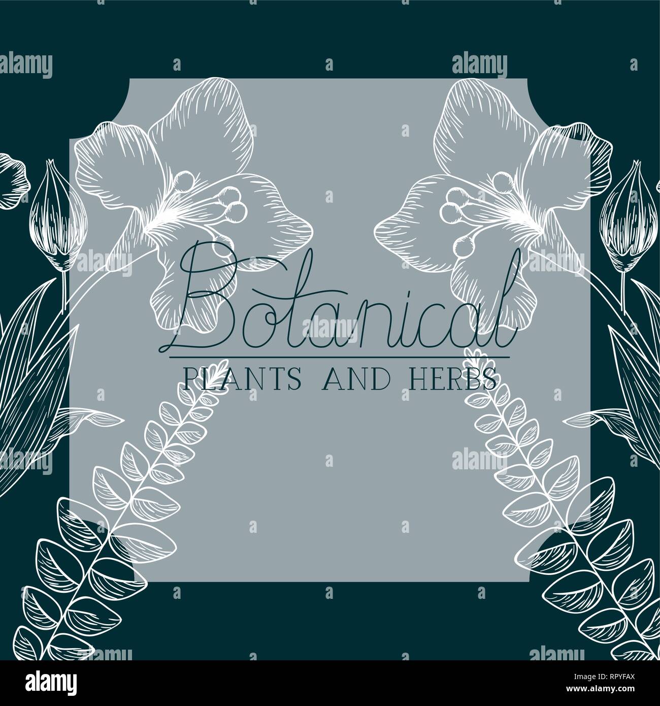 botanical label with plants and herbs Stock Vector Image & Art - Alamy