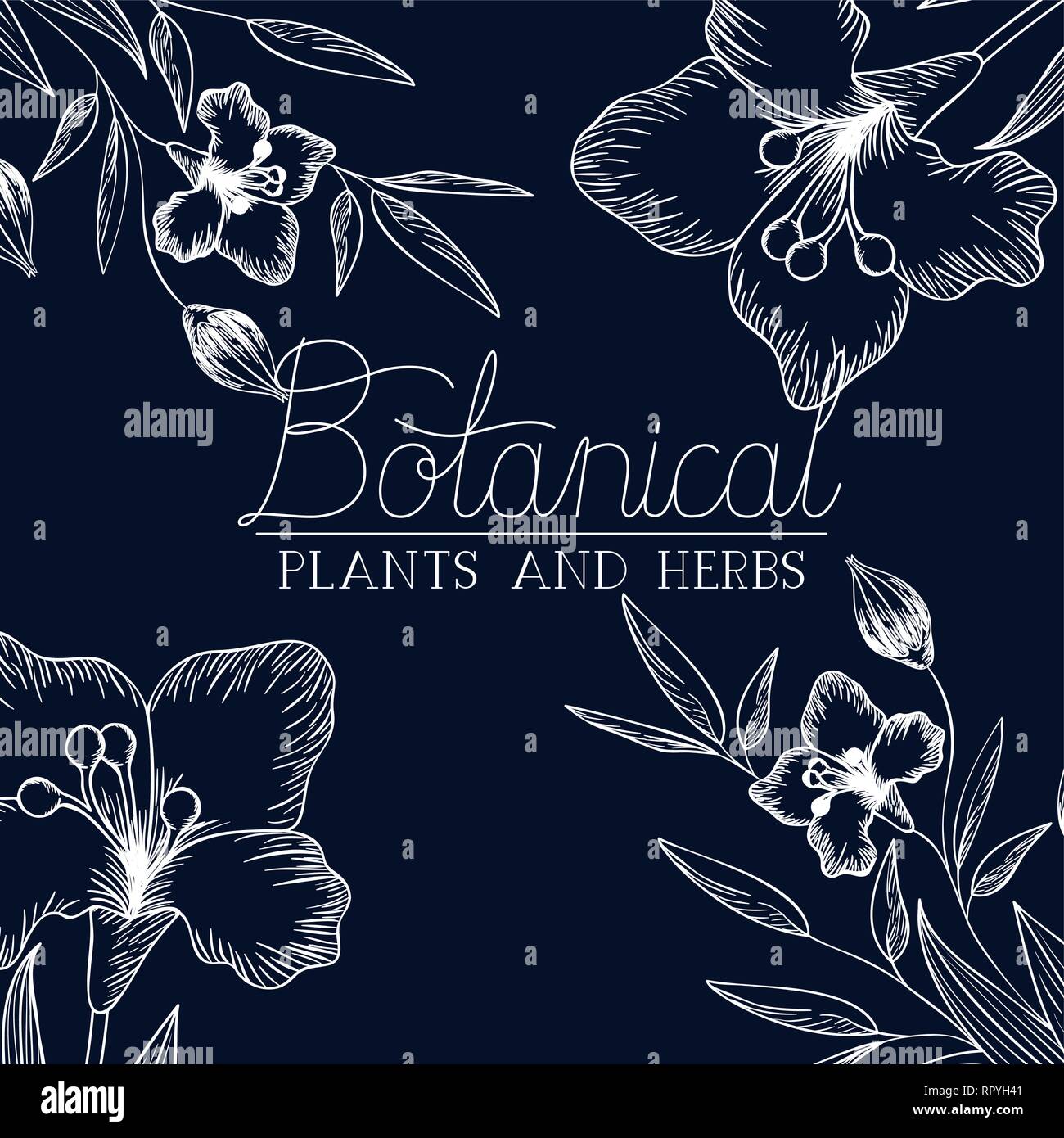 botanical label with plants and herbs Stock Vector Image & Art - Alamy