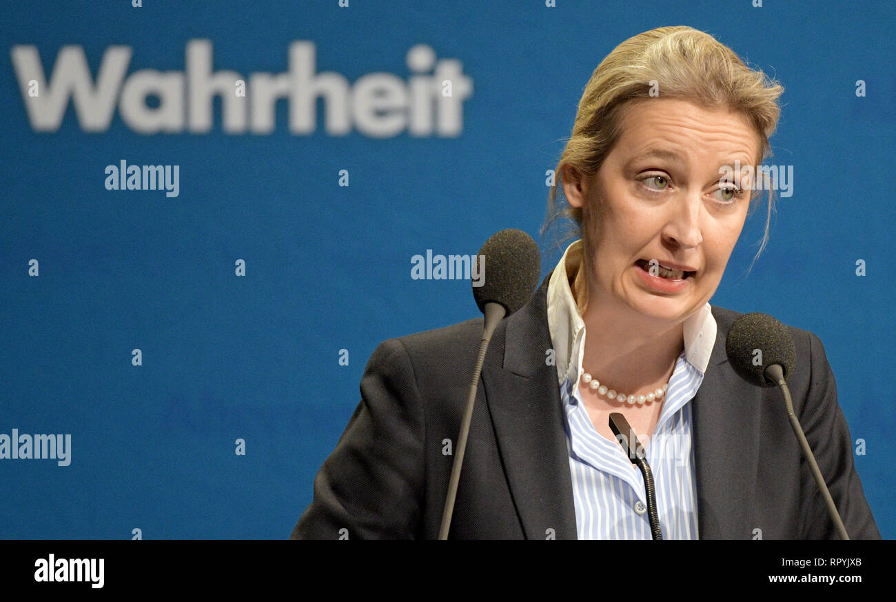 Heidenheim, Germany. 23rd Feb, 2019. The head of the AfD parliamentary ...