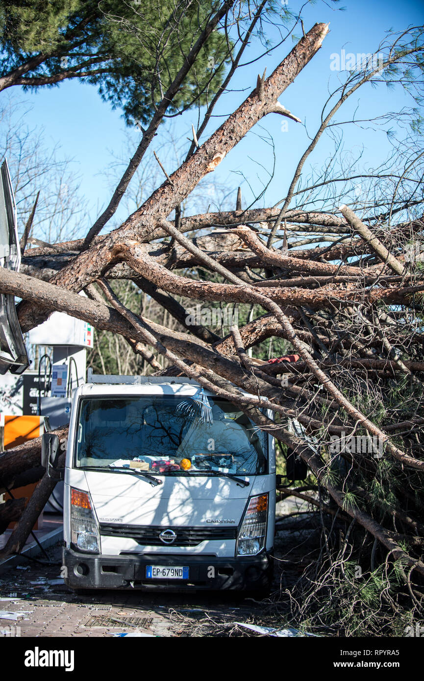Rome, Italy. 23rd Feb, 2019. Storm damage. Foto Valerio Portelli ...