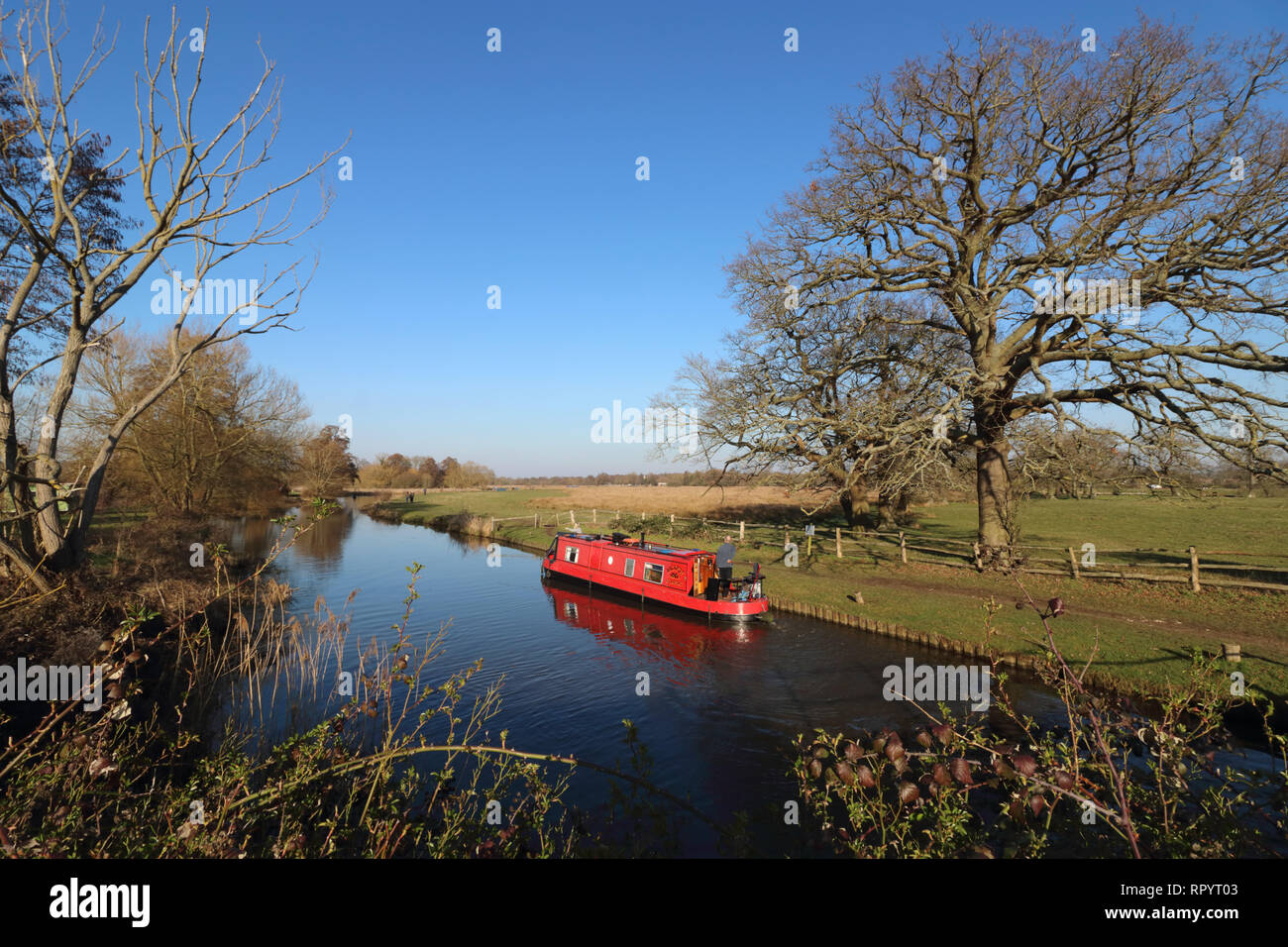 Wey Canal, Ripley, Surrey, UK. 23rd Feb, 2019. Vivid colours in the ...
