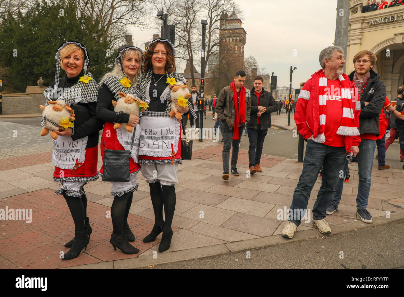 Female england rugby union fan hi-res stock photography and images - Alamy