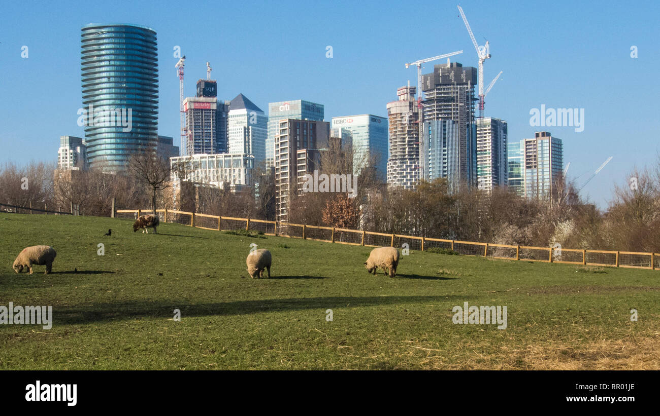 Mudchute park and farm hi-res stock photography and images - Alamy