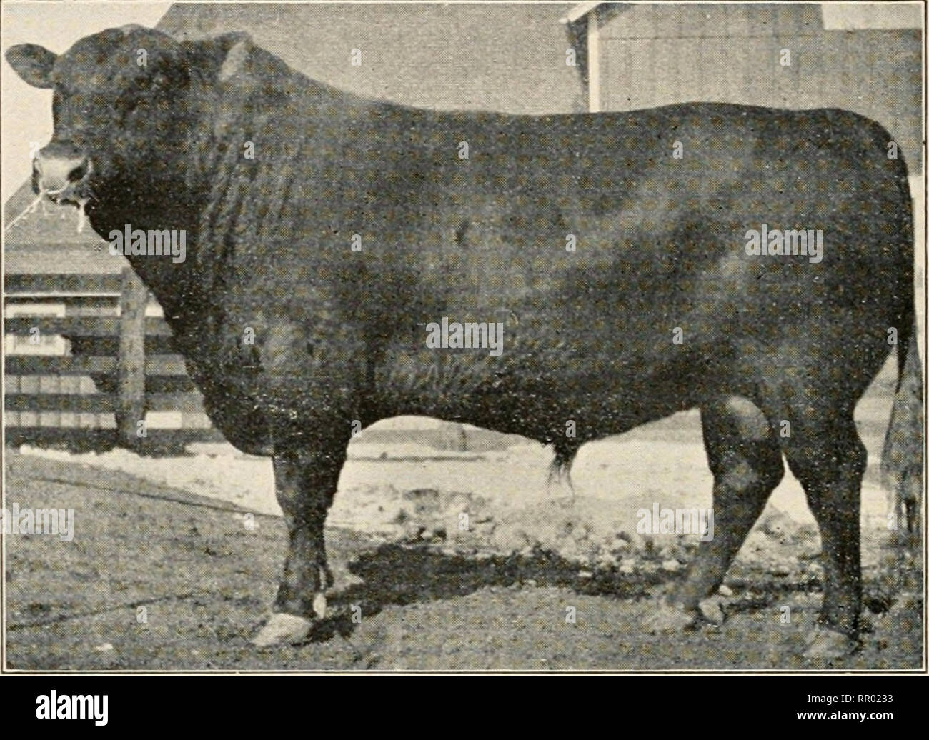 Martin adeline hi-res stock photography and images - Alamy