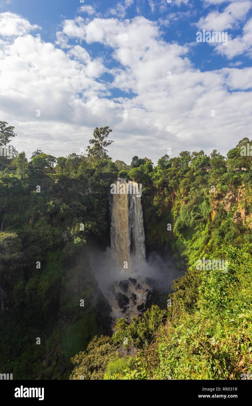 Landscape with a waterfall surrounded by greenery. Thompson Waterfall ...