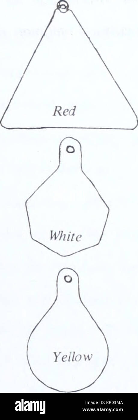 12 april 1984 hi-res stock photography and images - Alamy