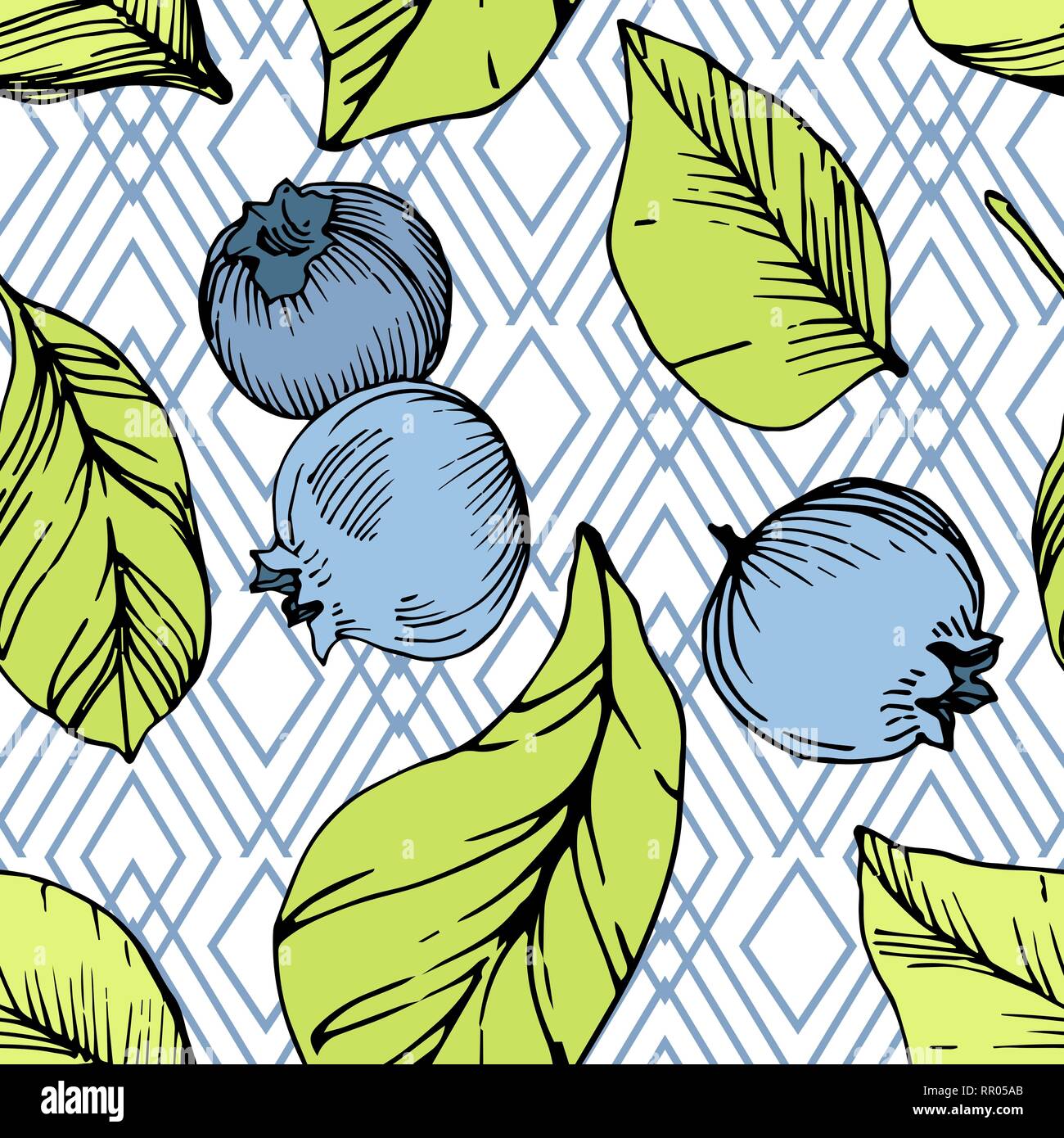 Vector Blueberry green and blue engraved ink art. Berries and green ...