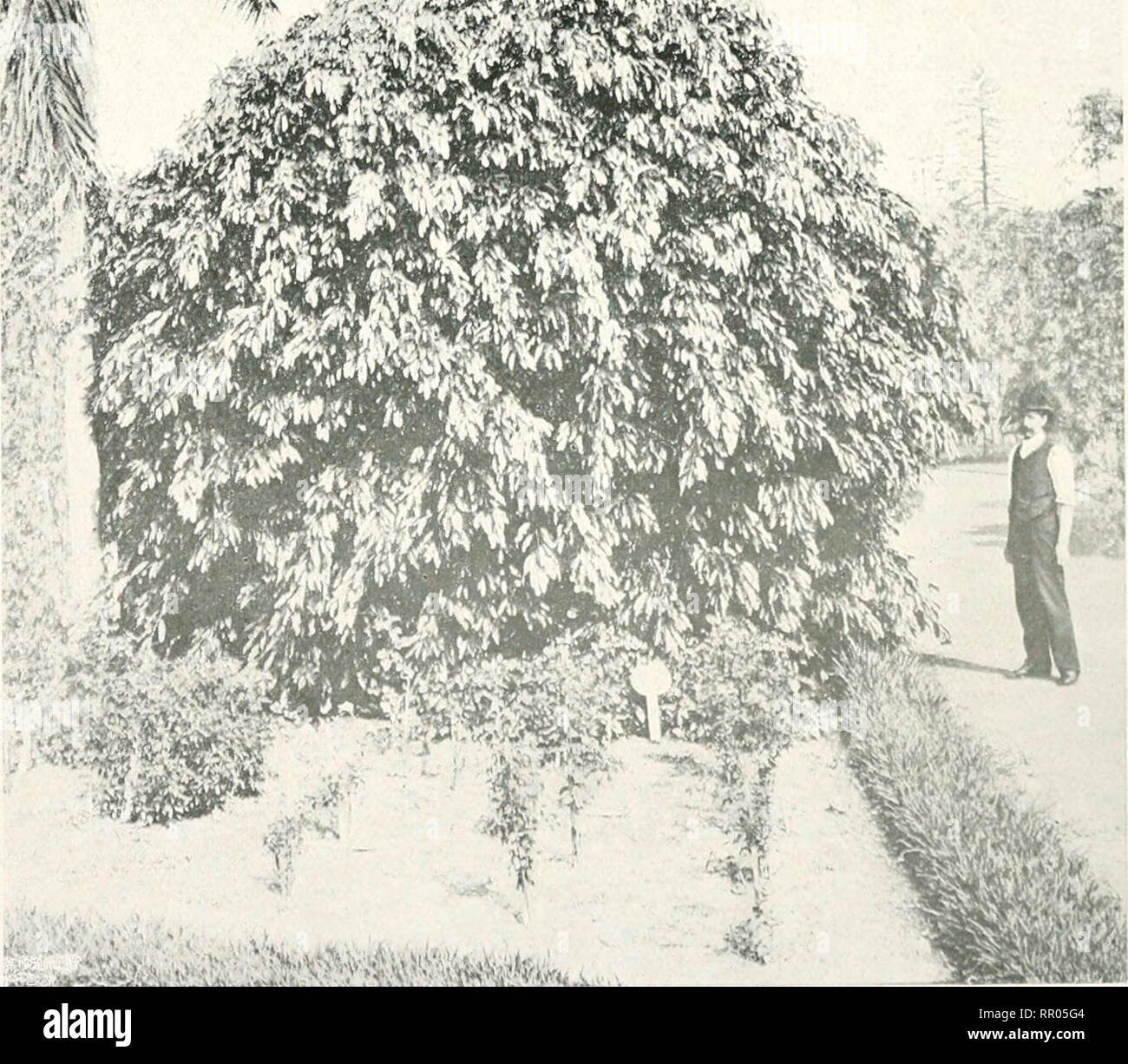 The lc wales hi-res stock photography and images - Alamy